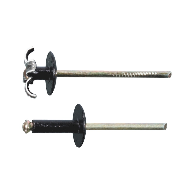 Buy Peeled rivet big dome head alu/stl zinc plated online