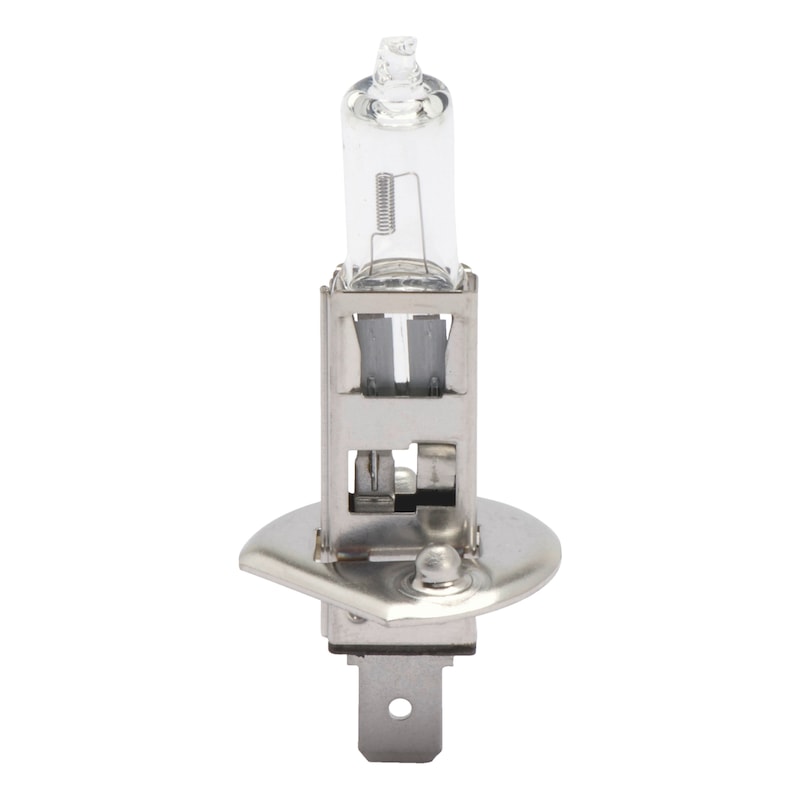 Buy Halogen bulb vehicle daylight online