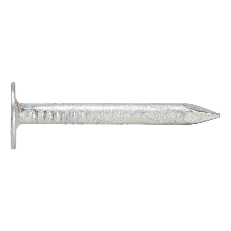 Clous et pointes tête extra large pour toiture et construction