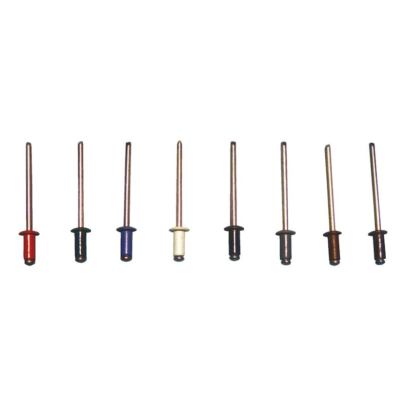 Buy Blind rivet flat head alu painted/stainless steel online