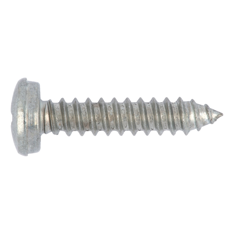 Buy Number plate screw steel zinc plated online