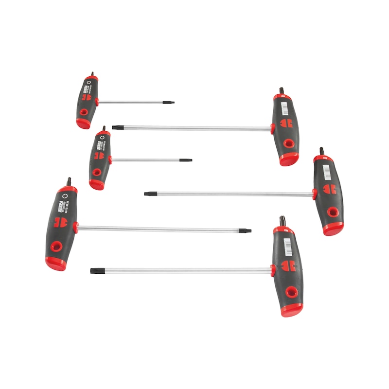 Buy T-handle screwdriver set, TX, side tip online