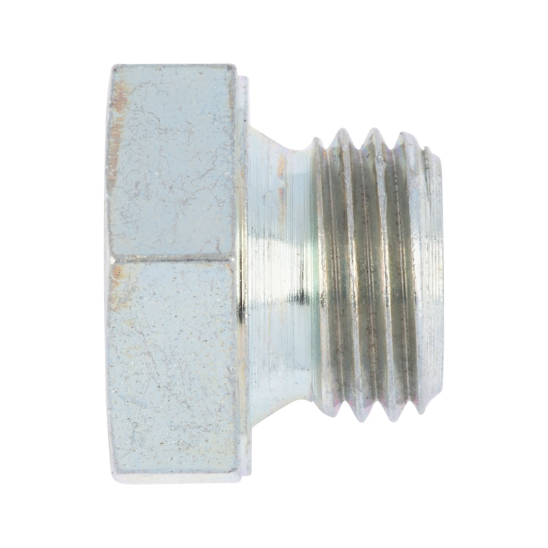 Buy Threaded plug, hexagon head online