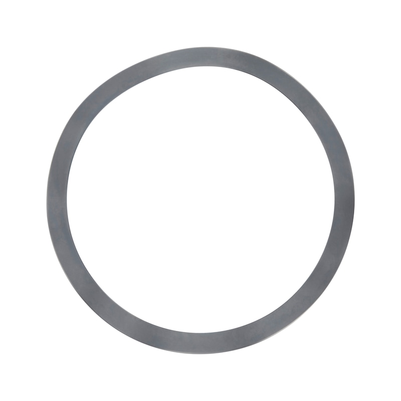 Buy Wave Spring Washers for Bearings online | WÜRTH