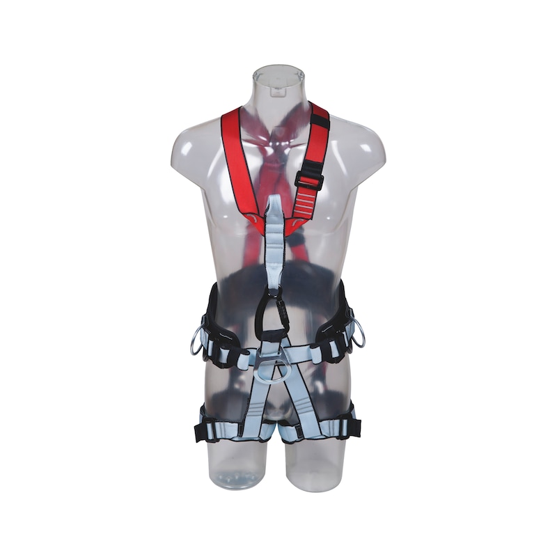 Buy Safety harness Spezialist Basic online