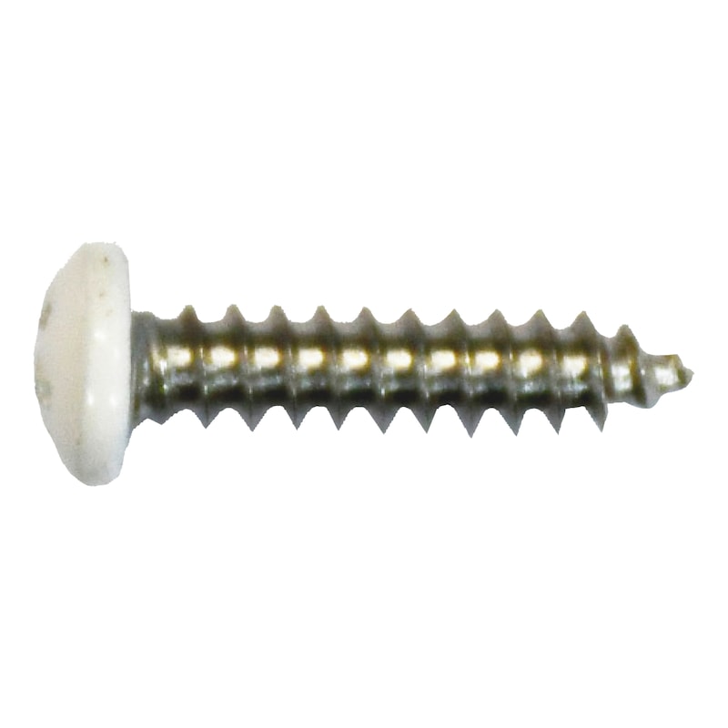 Buy Stainless steel 304 pan head painted H online