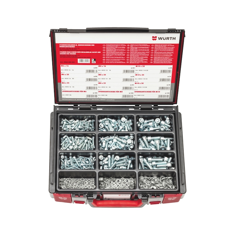 Buy Bolt and retaining element assortment online