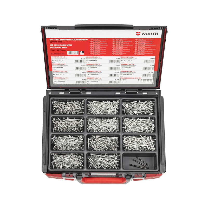 Buy ISO 15981 blind rivet assortment, round pan head in system case 4.4 ...