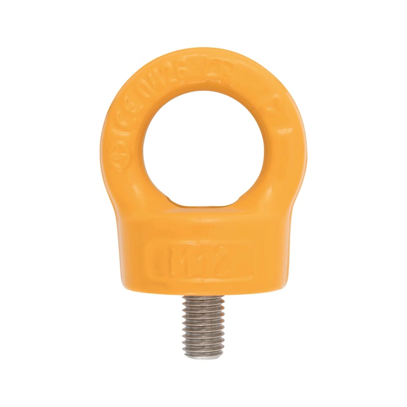 Buy Stainless steel ring bolt PSA EN795 online