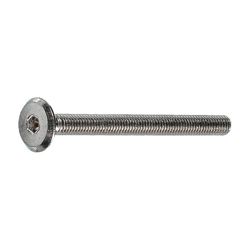 Buy Connecting screw steel zinc plated FT hex. socket online