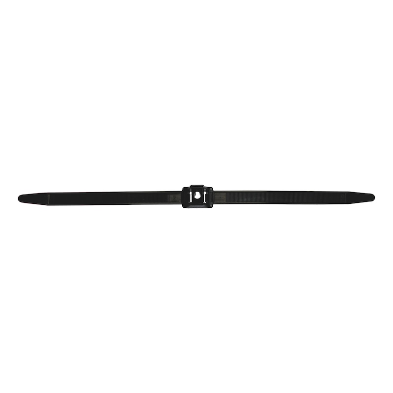 Buy Double-loop cable tie polyamide online
