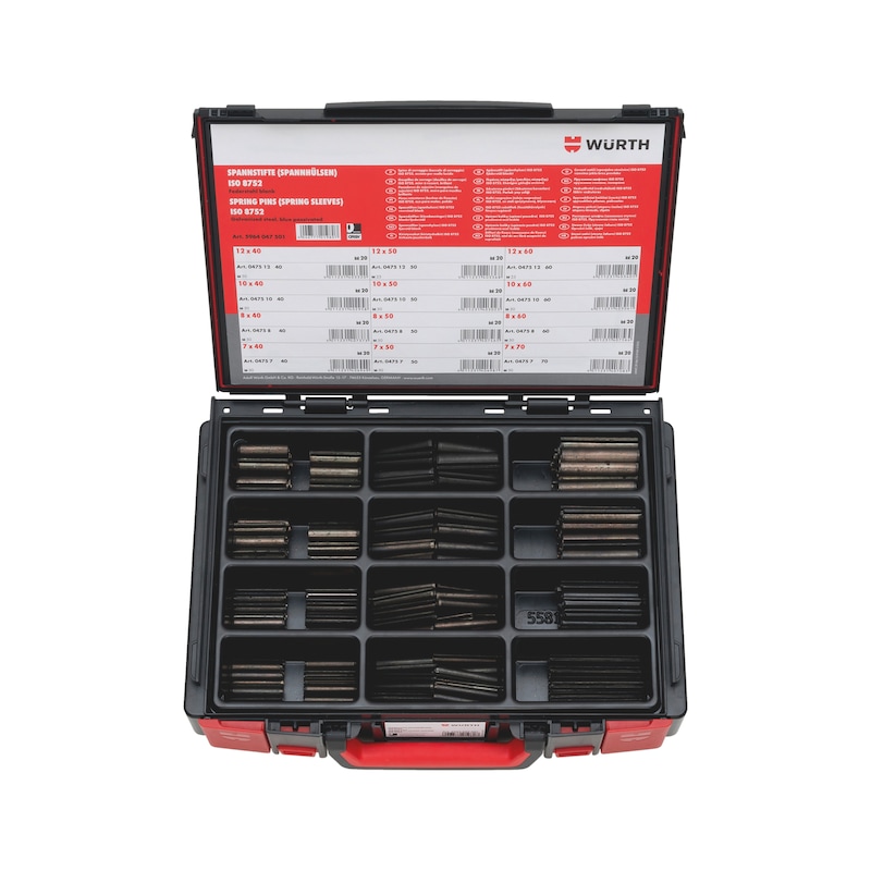 Buy ISO 8752 spring steel plain 240 pieces Sysko online