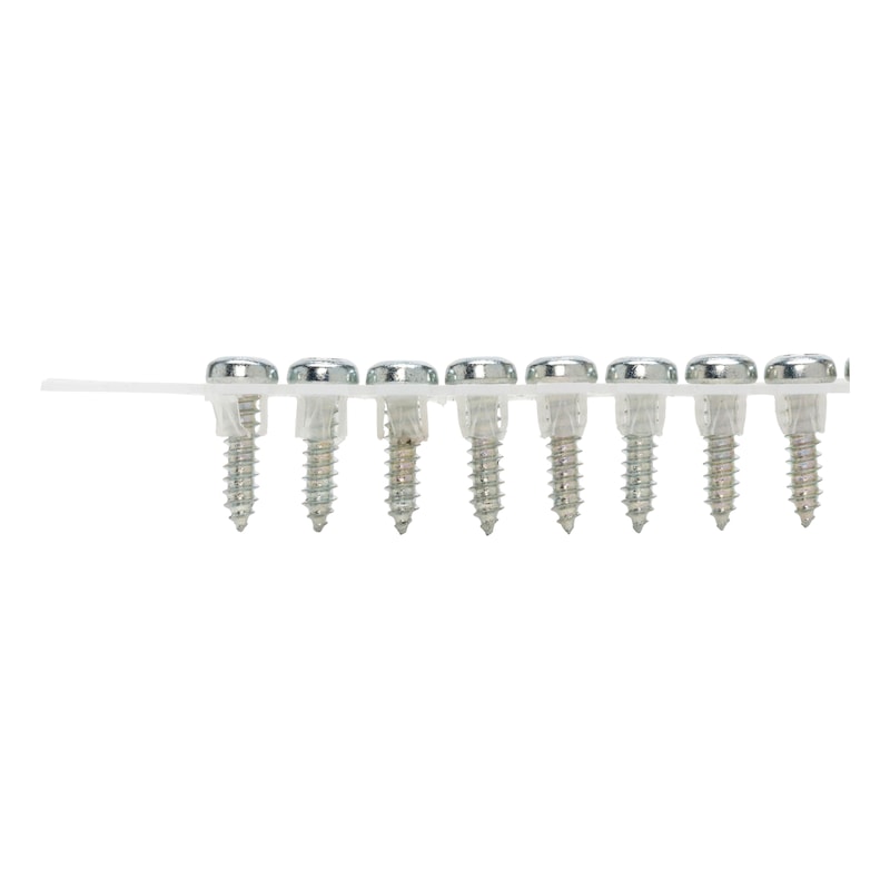 Buy Thin sheet metal screw DBS steel zn collated AW online