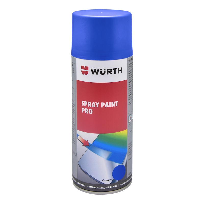 Buy Paint spray PRO matt online