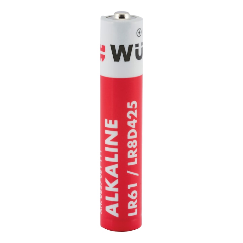 Buy Battery Mini LR8D425/AAAA online