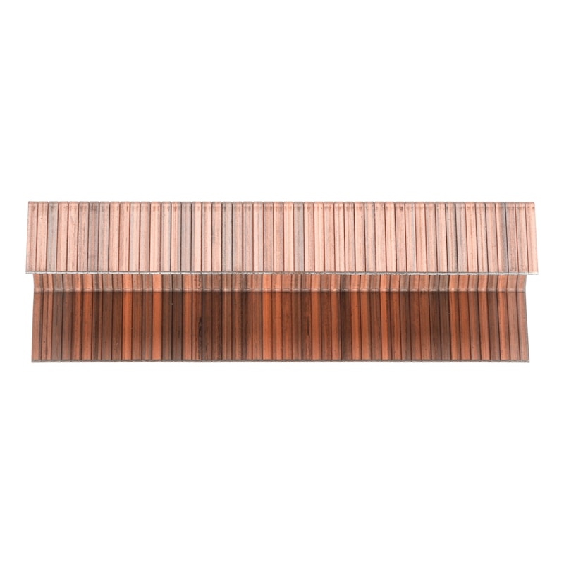 Buy Staple, steel copper plated, type BA online