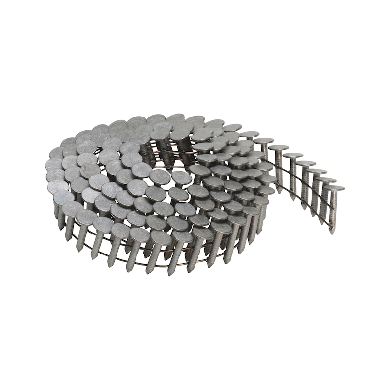 Acheter Clou calotin, acier galvanisé à chaud | Würth AG