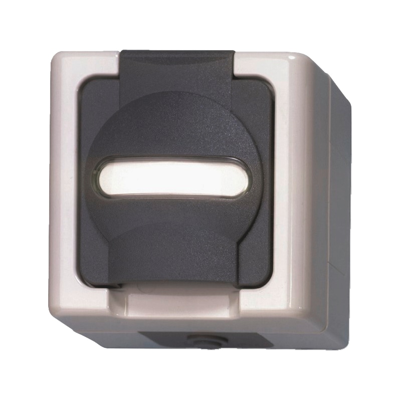 Buy Plug socket, ELMO, surface-mounted, damp room online