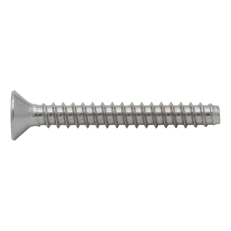 Buy DIN 7982 stainless steel A2 cs head square shape F online