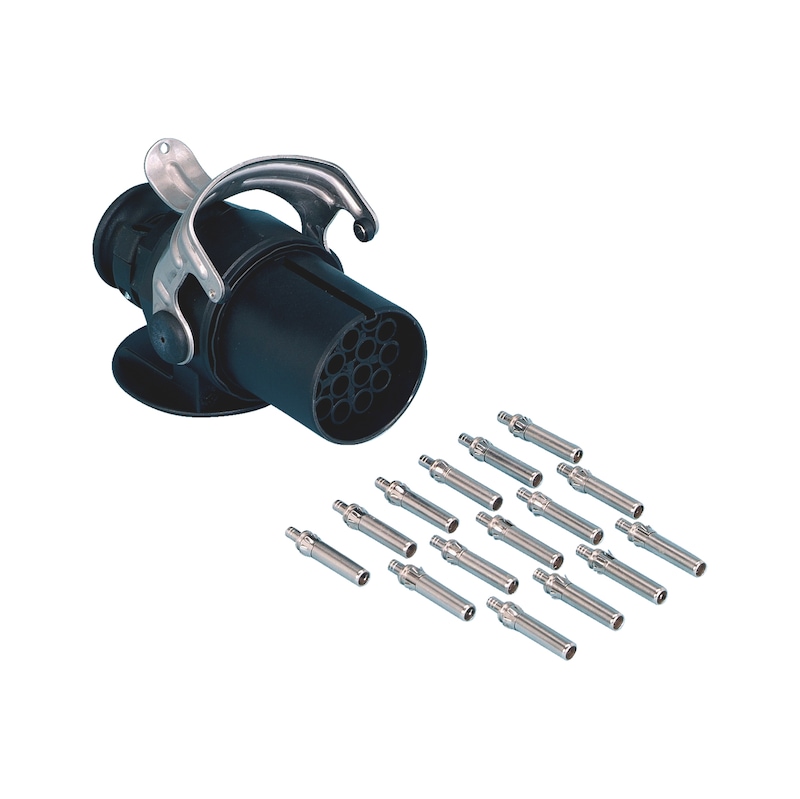 Buy 15-pin plug, standard online