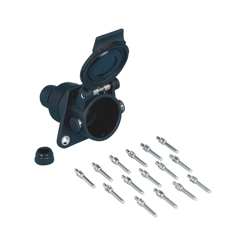 Buy 15-pin socket, standard online