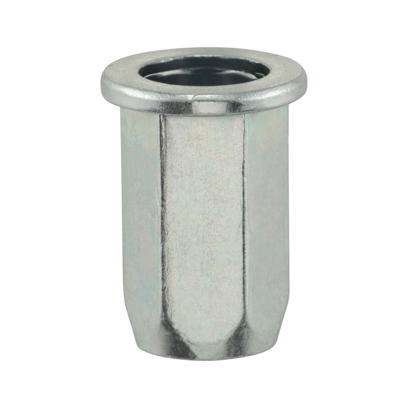 Nietmutter Typ S online kaufen | WÜRTH