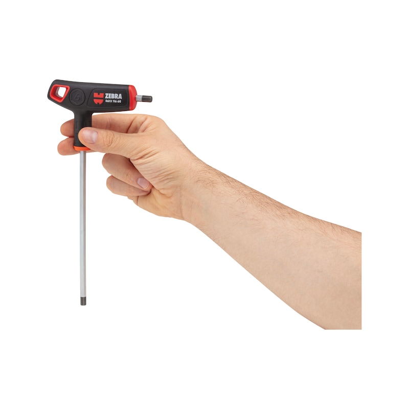 Buy T-handle 2C hexagon socket online