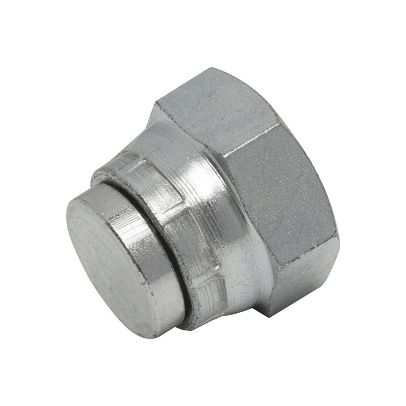 BSP sealing plug female