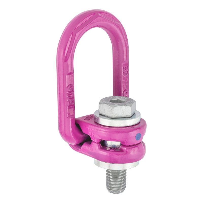 Buy Hoist ring RUD VLBG-PLUS online