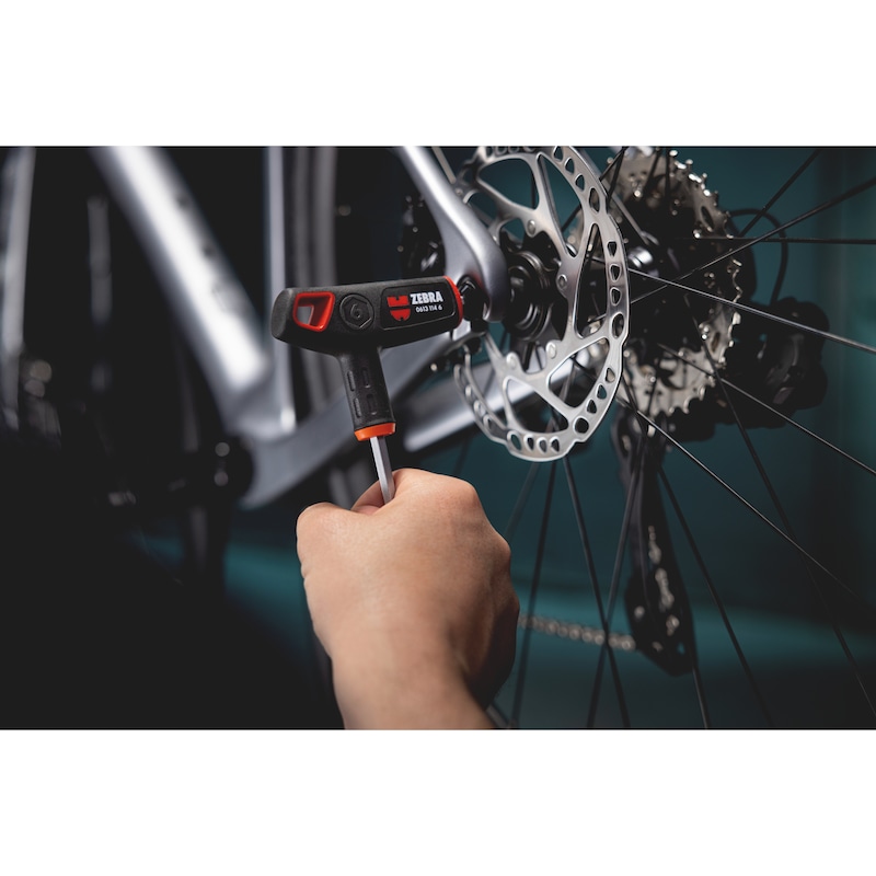 Buy T-handle 2C hexagon socket online