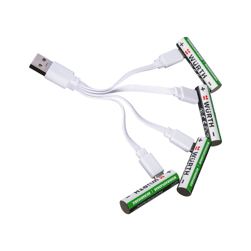 Wiederaufladbare Li-Ion Akkus mit integriertem USB-C Ladeanschluss ...