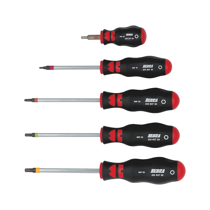 Buy Screwdriver set AW drive 5 pcs online