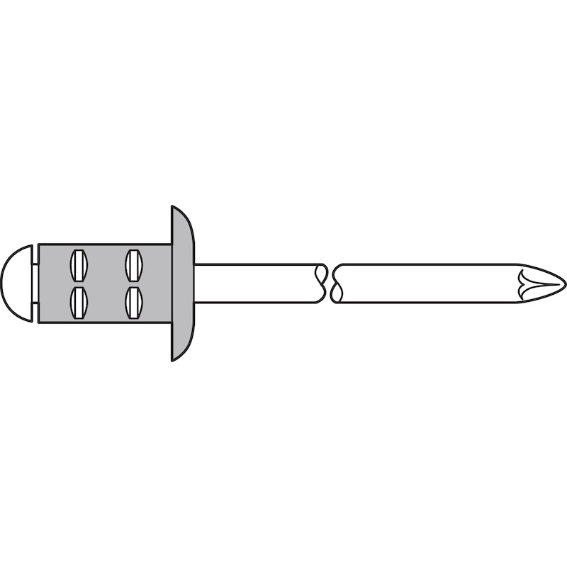 Buy GESIPA PolyGrip multi-range blind rivets