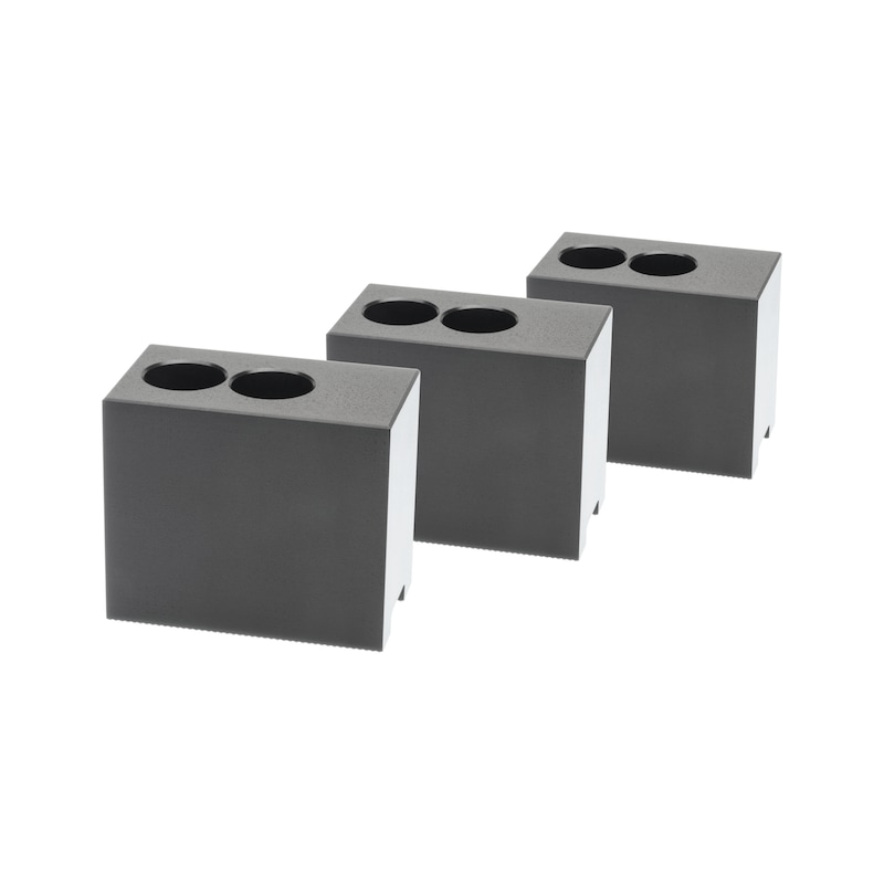 Schunk interchangeable jaw grips for 3-jaw power chuck from eShop