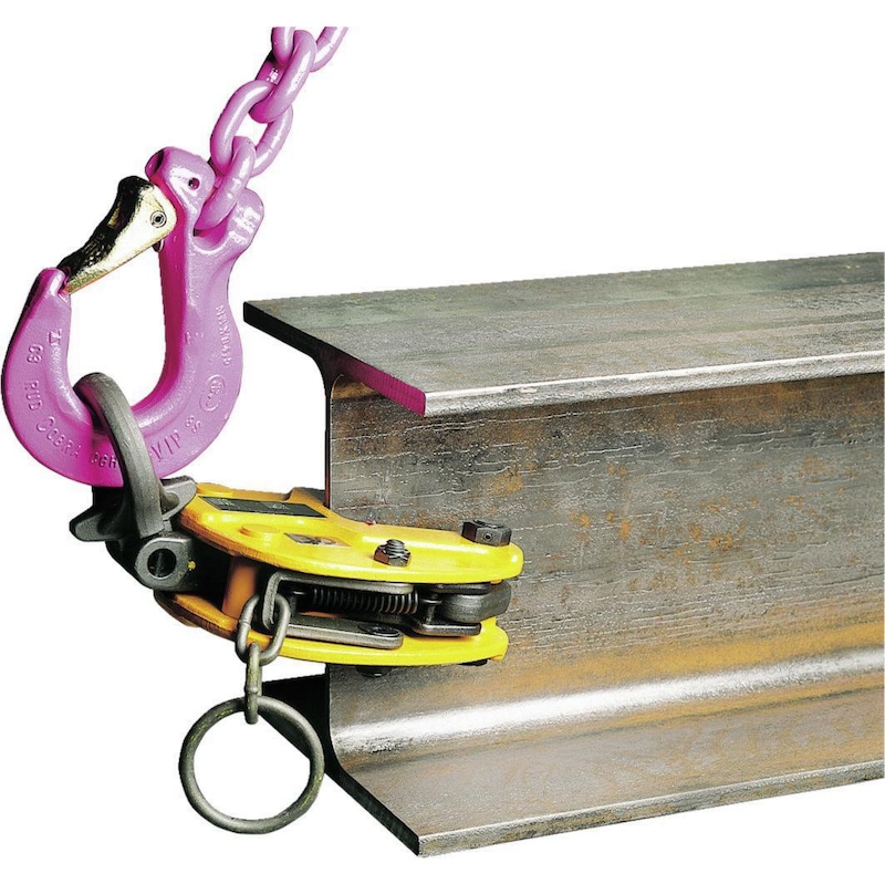 Buy CARL STAHL Hoisting clamp for turning and vertical lifting