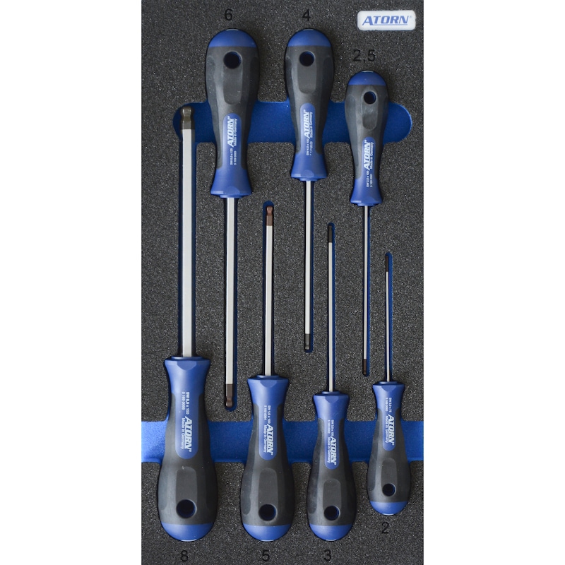 ATORN Hard foam insert equipped with screwdrivers 4, 8 pieces