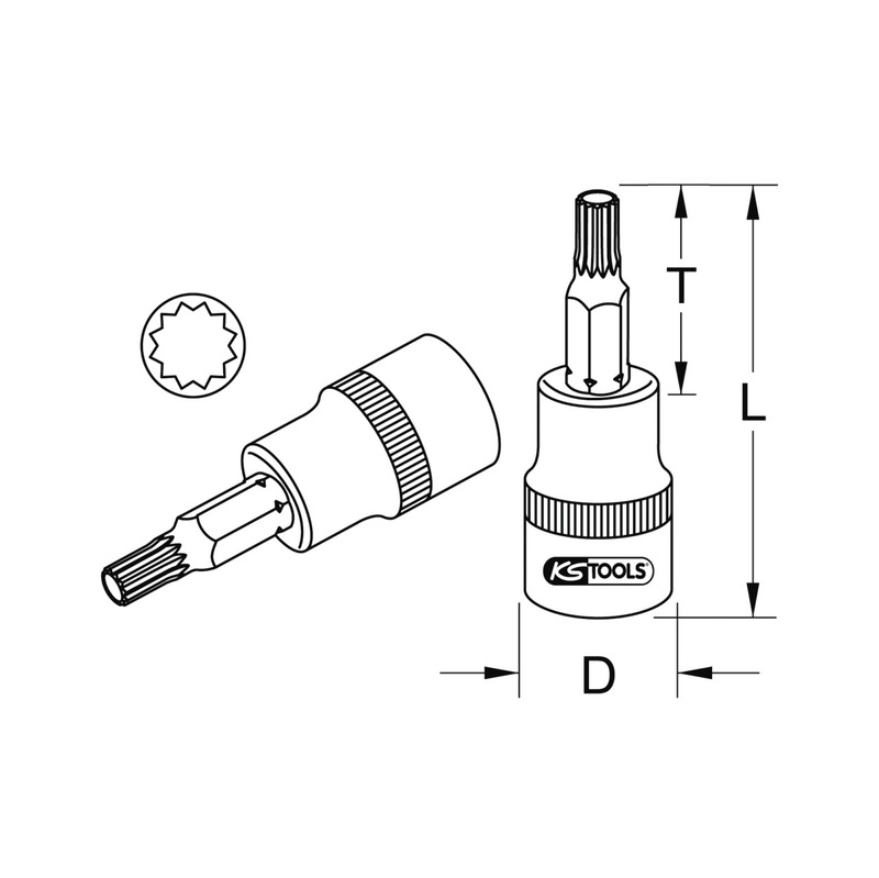3/8 Zoll Bit-Stecknuss XZN, M8 auf Hänger