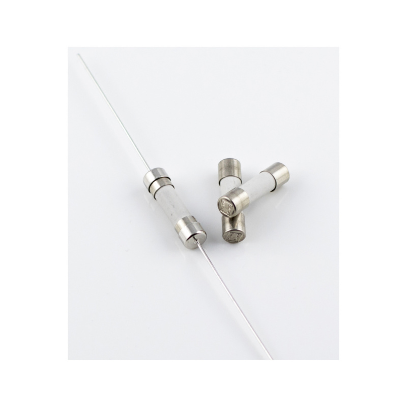 Ceramic tubular fuse slow 5x20 from WürthElektroShop